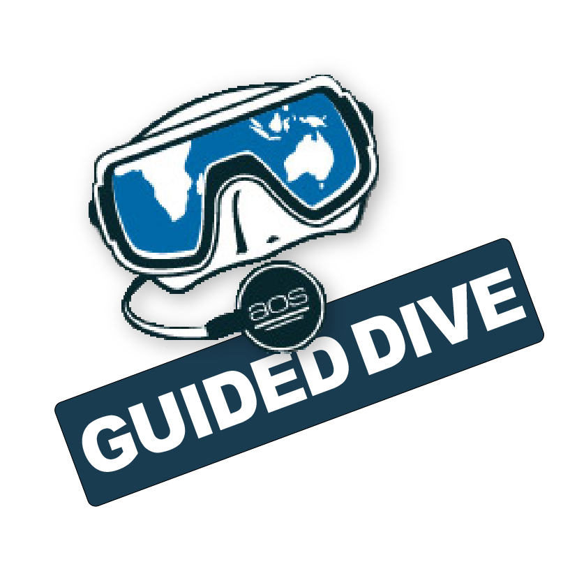 Guided Shore Dives – Academy of Scuba